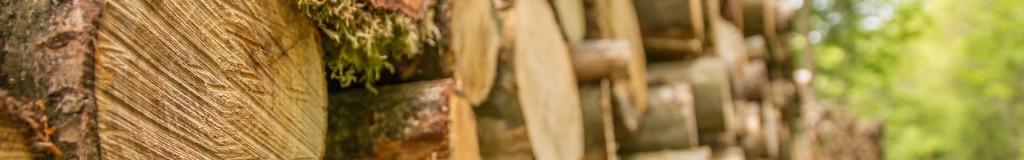 Sawmills & Logging Safety Handouts | WORK SAFE KENTUCKY